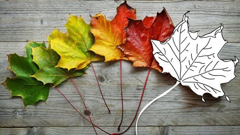 AN OVERVIEW OF SEASONAL LIVING (RITUCHARYA) - Popular Vedic Science