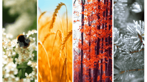 4 YUGAS — SATYA, TRETA, DVAPARA AND KALI YUGA