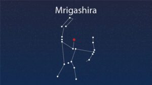 Mrigashira Nakshatra: Compatibility, Careers, Strengths & More