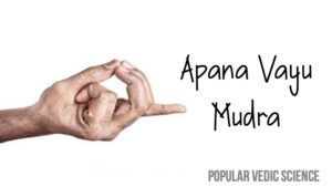 Apana Vayu Mudra: Benefits, Precautions, and How to Do It