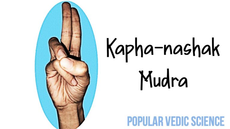Mudras for the Digestion: Surya Mudra, Linga Mudra & more!
