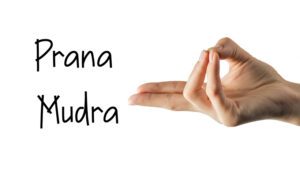 Mudras for the Digestion: Surya Mudra, Linga Mudra & more!