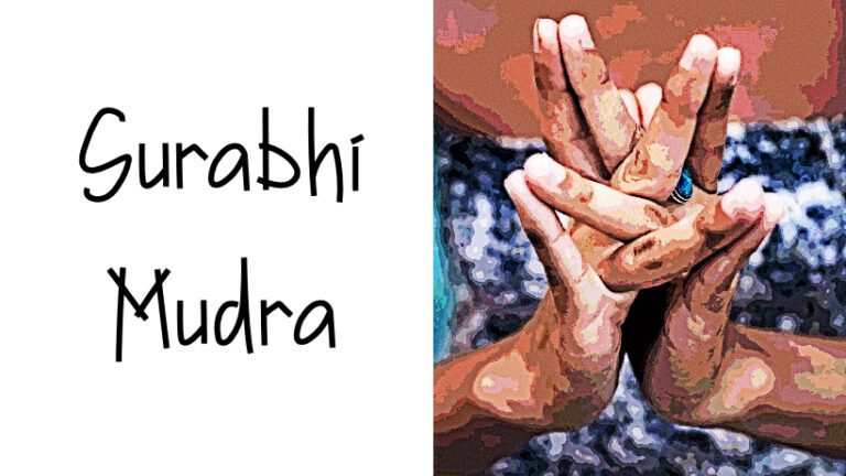 Mudras for the Heart Chakra: Jnana Mudra, Prana Mudra & More