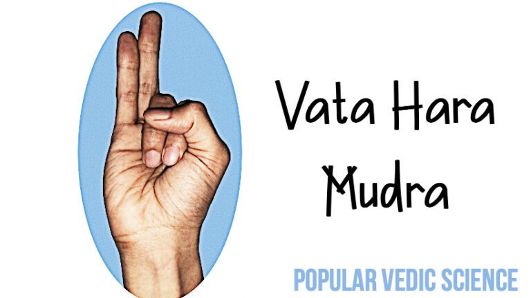 Mudras for the Digestion: Surya Mudra, Linga Mudra & more!
