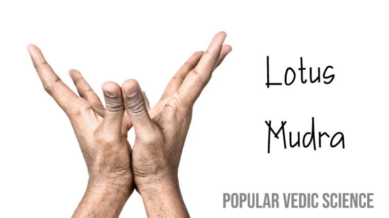 Lotus Mudra: Benefits, Precautions, and How to Do It